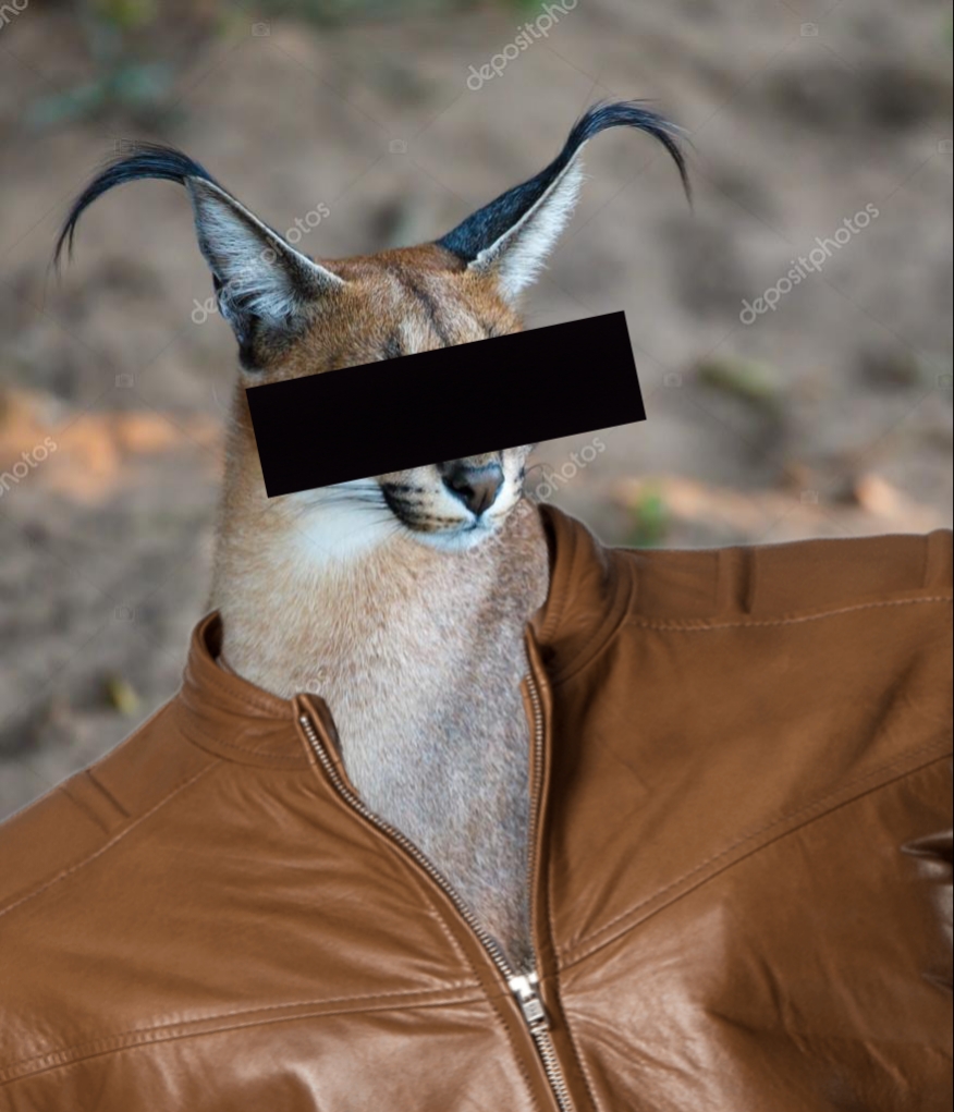 Flop Jonah | Floppapedia Revamped Wiki | Fandom