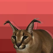 Floppapedia Revamped Wiki | Fandom