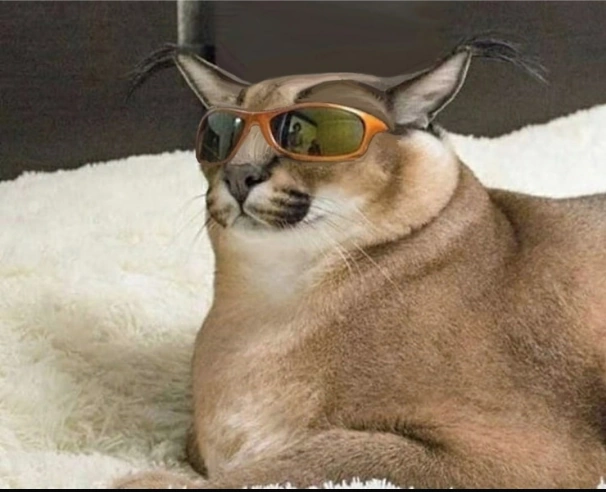 Guðmundur Þorsteinn Sigurdsson Floppa | Floppapedia Revamped Wiki | Fandom