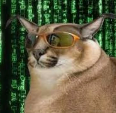 Floppapedia Revamped Wiki | Fandom