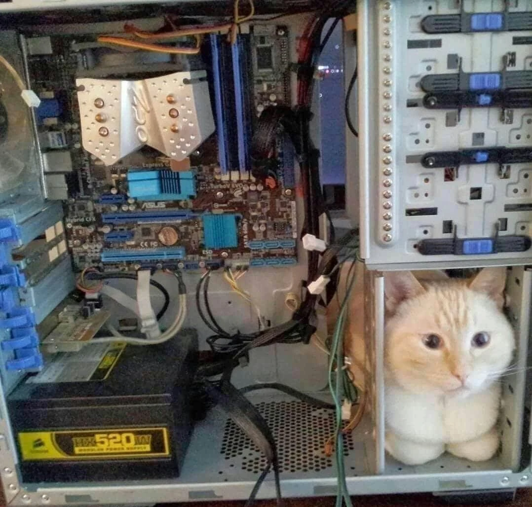 Fluffy Disk | Floppapedia Revamped Wiki | Fandom