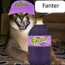 Grape Fanter | Floppapedia Revamped Wiki | Fandom