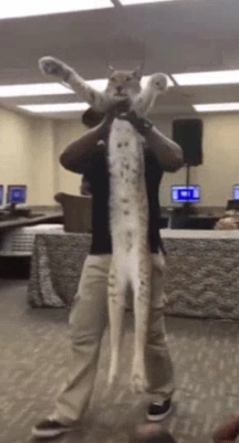 Gargantious Floppa | Floppapedia Revamped Wiki | Fandom