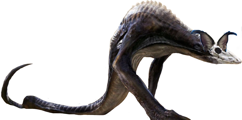 Flopcrawler | Floppapedia Revamped Wiki | Fandom