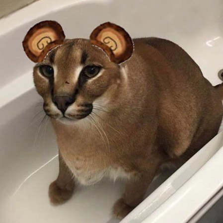 Chimp Floppa | Floppapedia Revamped Wiki | Fandom