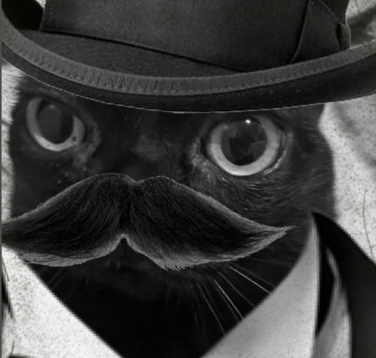 Sherwood | Floppapedia Revamped Wiki | Fandom