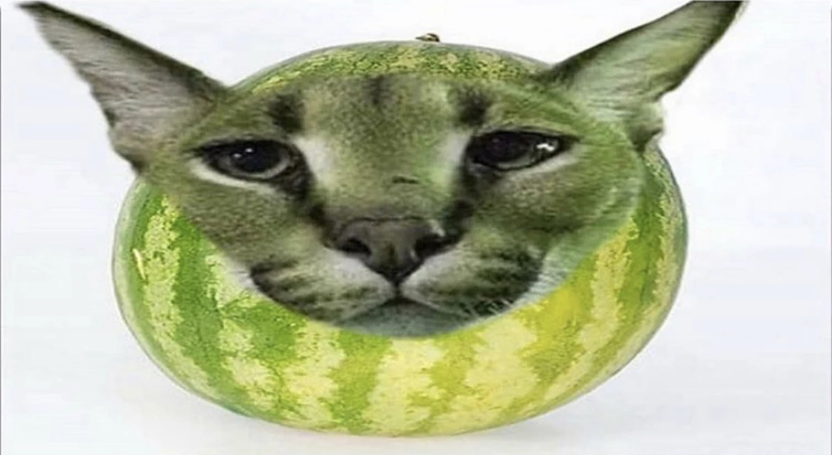 Melon Floppa | Floppapedia Revamped Wiki | Fandom