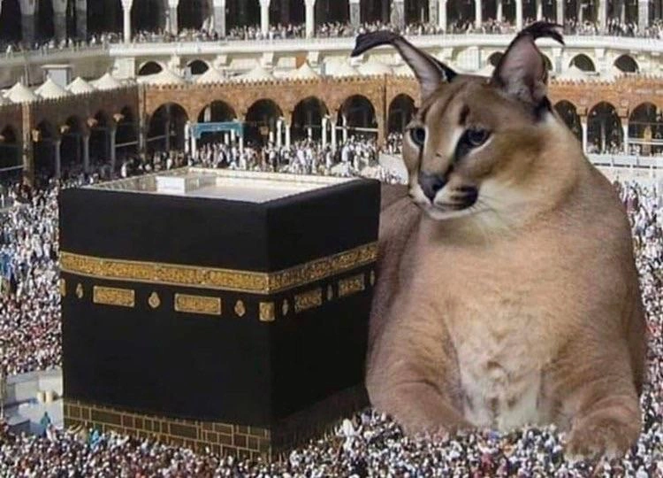 Floppa Islam Phenomenom | Floppapedia Revamped Wiki | Fandom