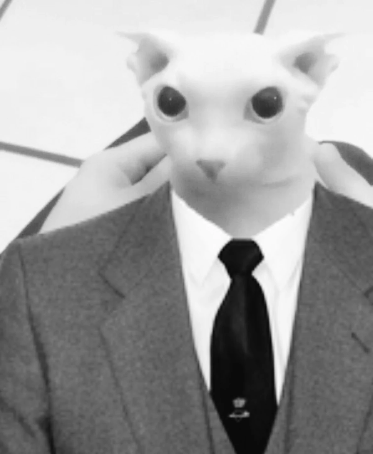 Anatoly Bingskovich Sphinxisivich | Floppapedia Revamped Wiki | Fandom