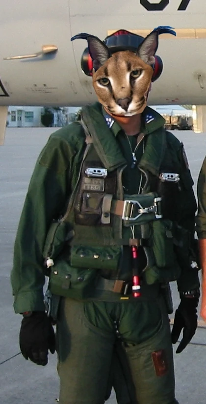 Military aviation | Floppapedia Revamped Wiki | Fandom