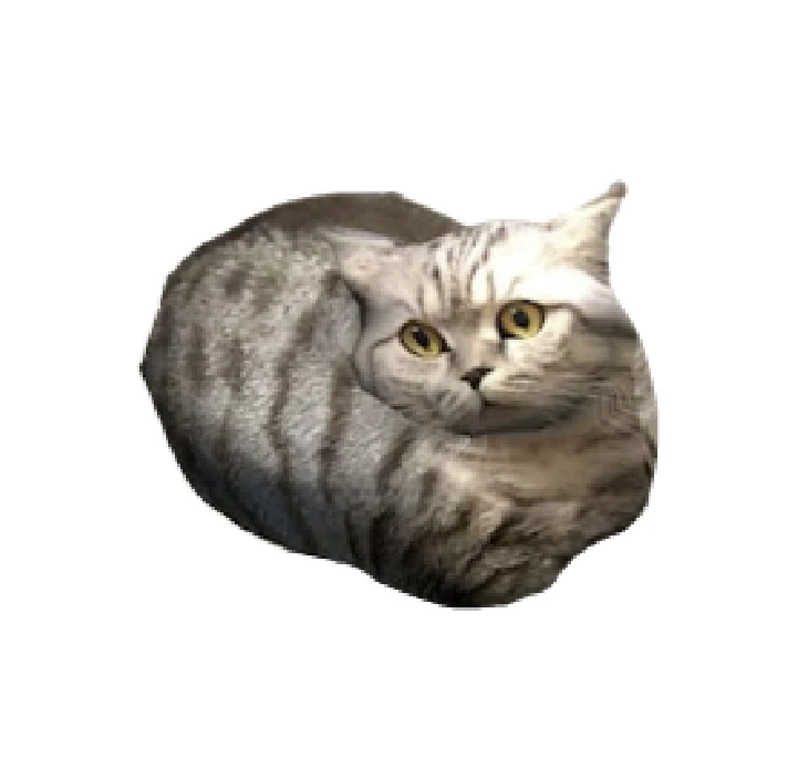 Mars (cat) | Floppapedia Revamped Wiki | Fandom