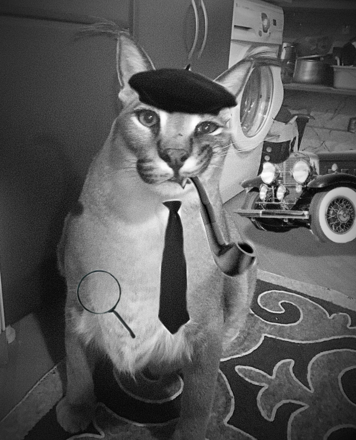 Sherlock Flopps | Floppapedia Revamped Wiki | Fandom