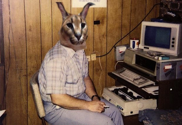 Gamma Floppa | Floppapedia Revamped Wiki | Fandom