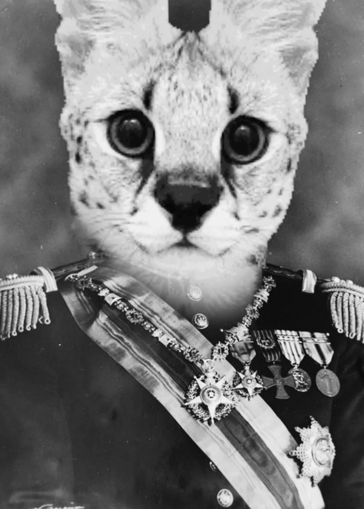 Pablo De Soggel | Floppapedia Revamped Wiki | Fandom