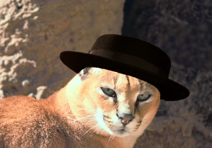 Walter Floppa Floppapedia Revamped Wiki Fandom