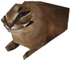 The Beyond | Floppapedia Revamped Wiki | Fandom