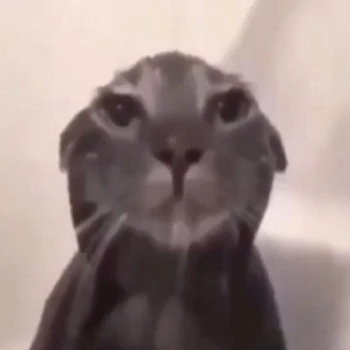 The real Googas | Floppapedia Revamped Wiki | Fandom