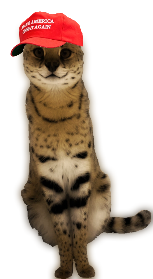 Sogger Sogson | Floppapedia Revamped Wiki | Fandom