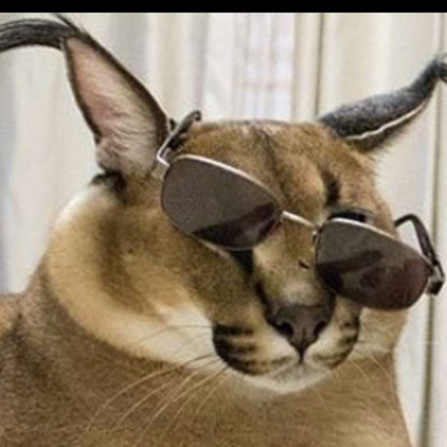 Big Floppa III | Floppapedia Revamped Wiki | Fandom