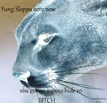 Yung Sloppa | Floppapedia Revamped Wiki | Fandom