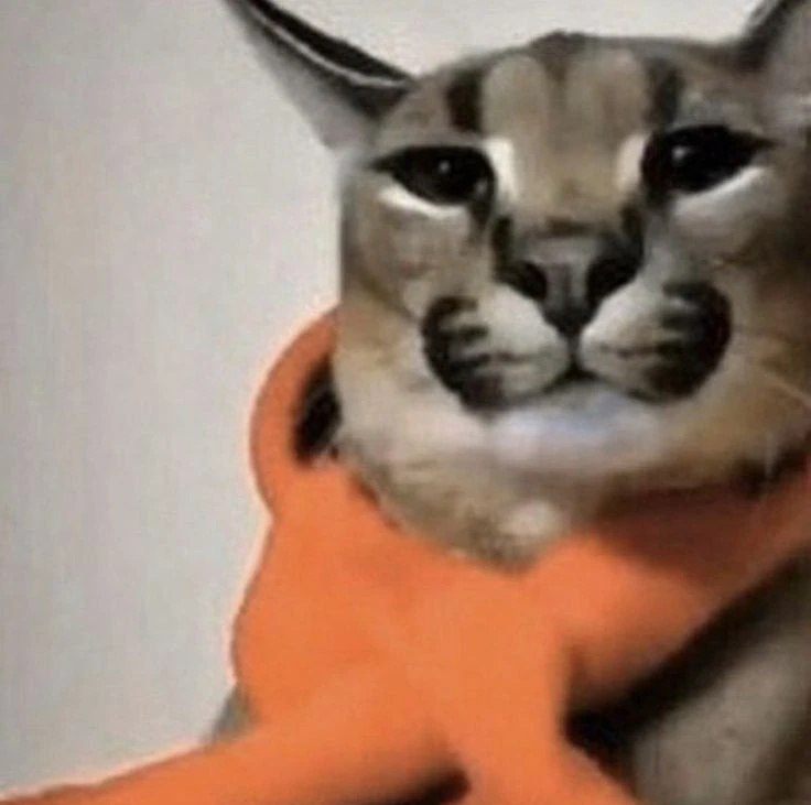 Skepp | Floppapedia Revamped Wiki | Fandom