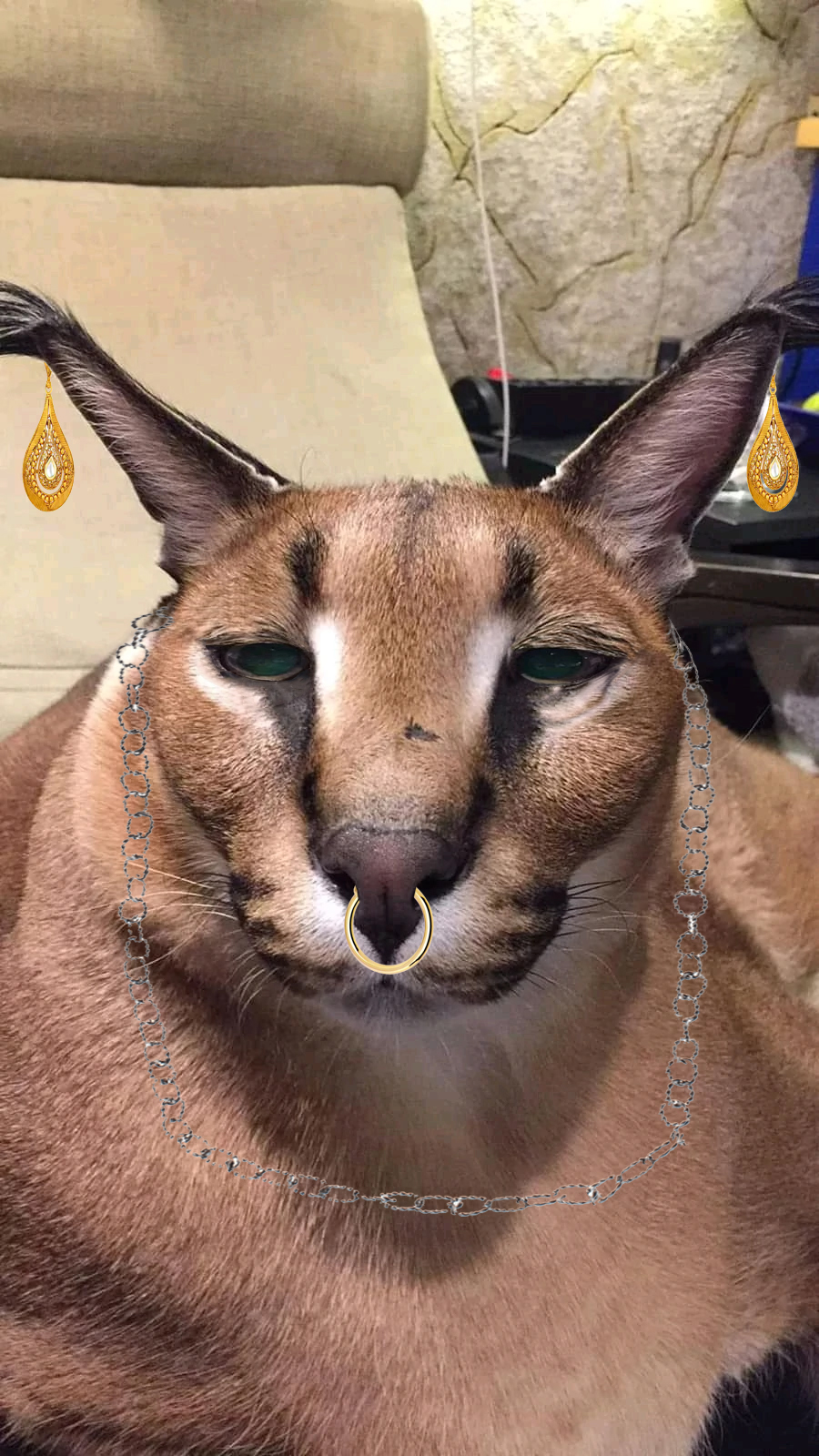 Lỉl Bồ | Floppapedia Revamped Wiki | Fandom