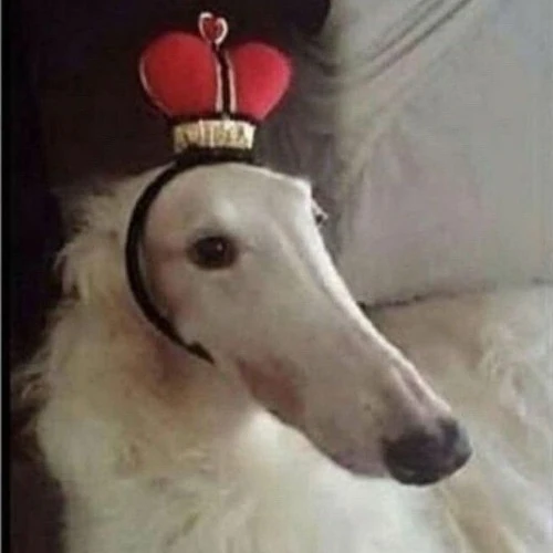 Lord Foog | Floppapedia Revamped Wiki | Fandom