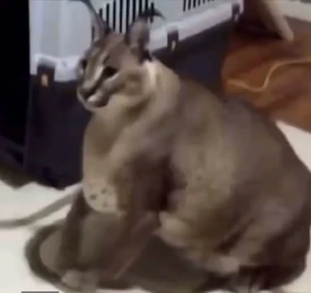 Bigger Floppa | Floppapedia Revamped Wiki | Fandom