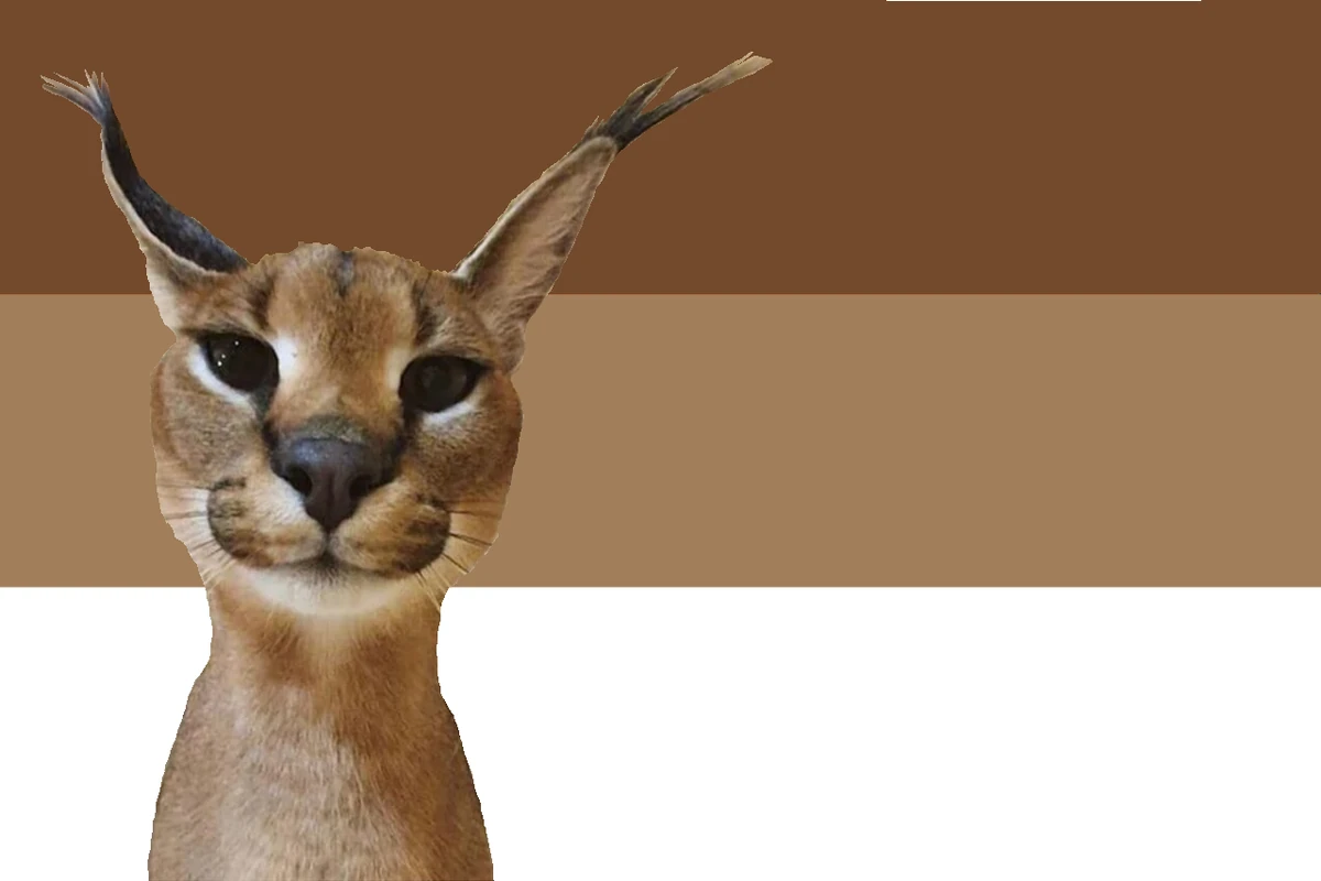 Republic of Zabloing | Floppapedia Revamped Wiki | Fandom