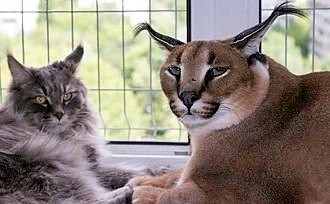 Medium quality test page (For banner use example) | Floppapedia ...