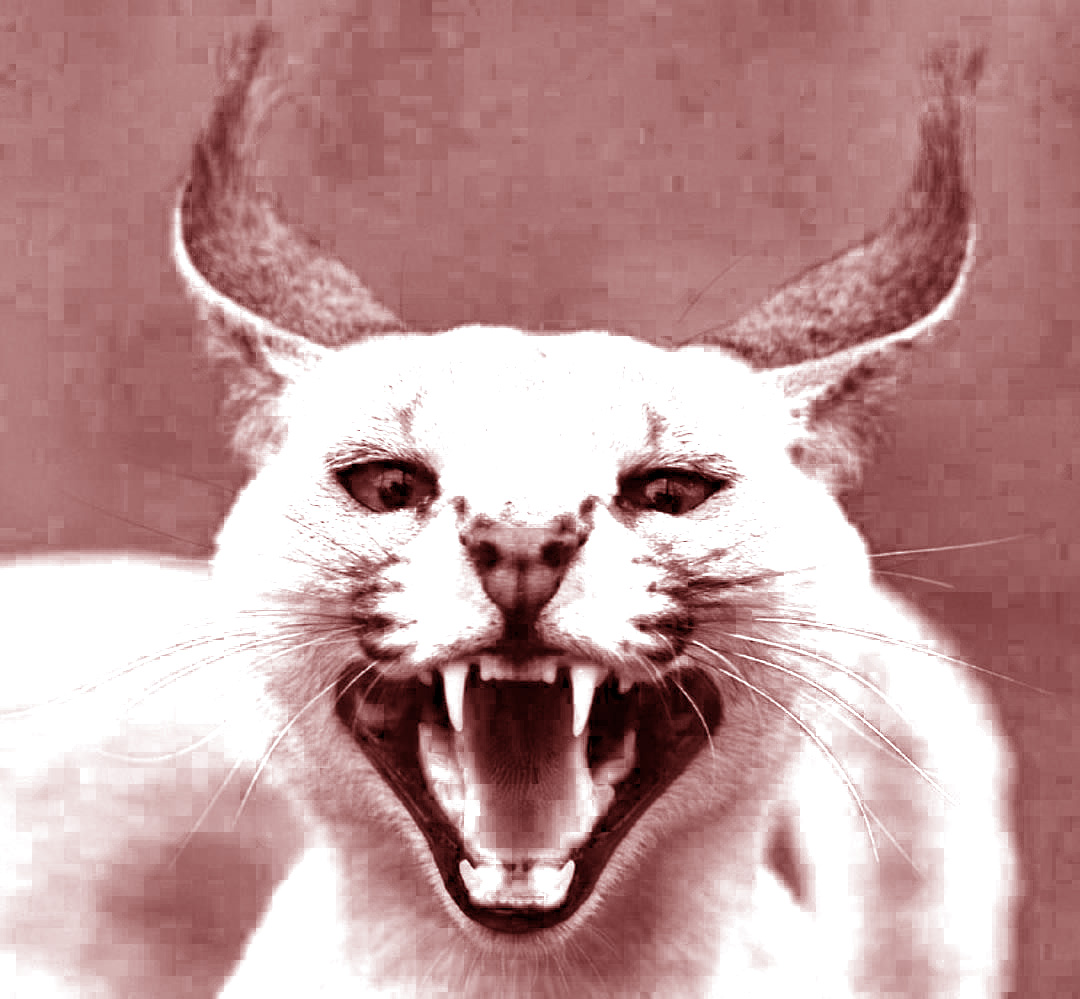 The Flopper | Floppapedia Revamped Wiki | Fandom