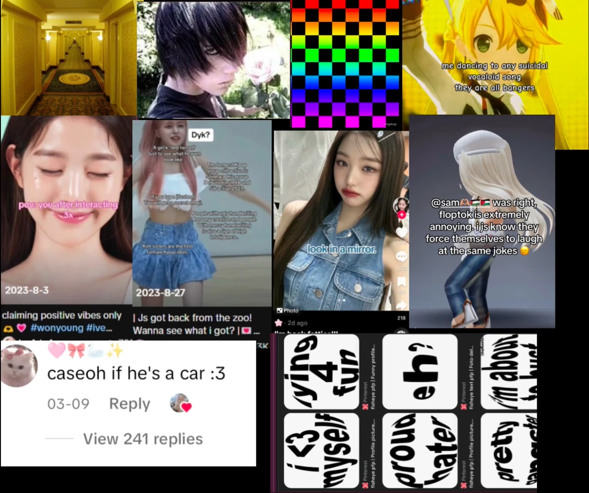 DaAesthetic | Floptok Wiki | Fandom