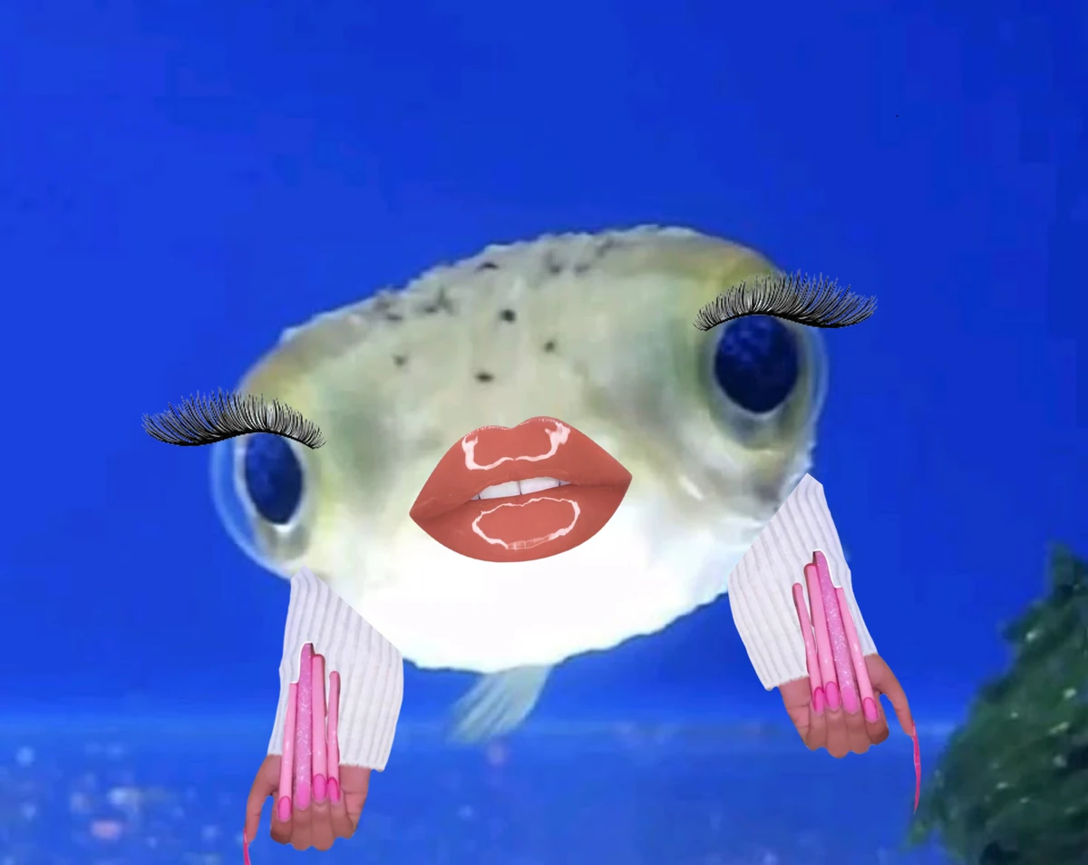 Flop Pufferfish | Floptok Wiki | Fandom