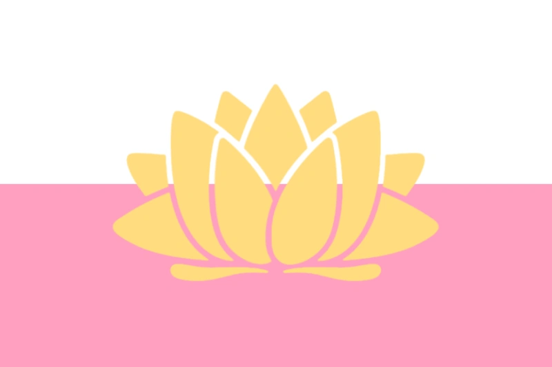 Floptopia | Floptok Wiki | Fandom