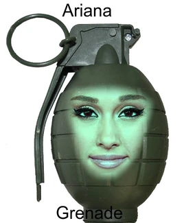 Ariana Grenade | Floptok Wiki | Fandom