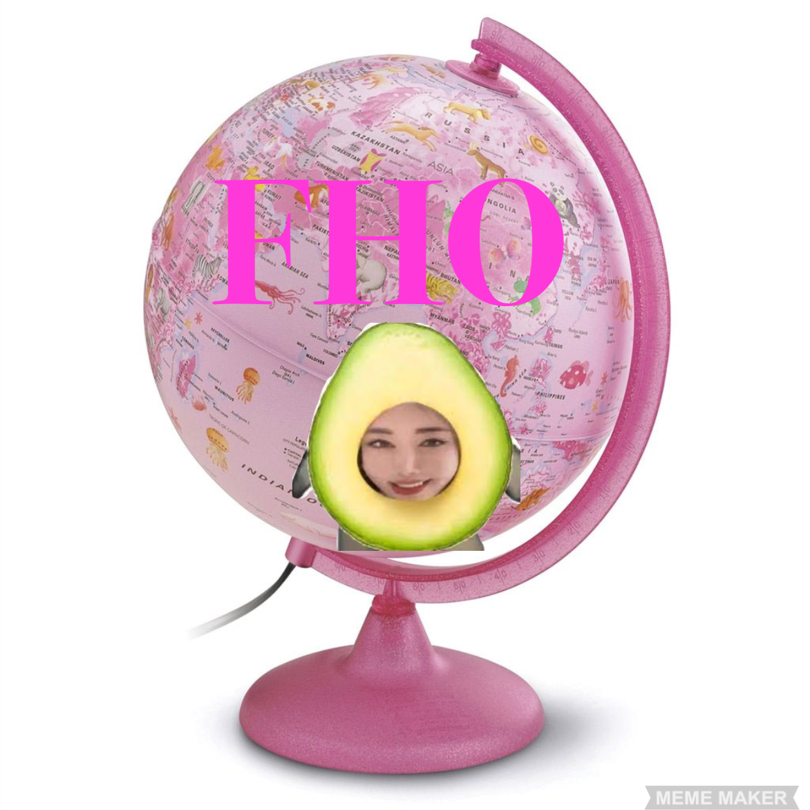 FHO | Floptok Wiki | Fandom