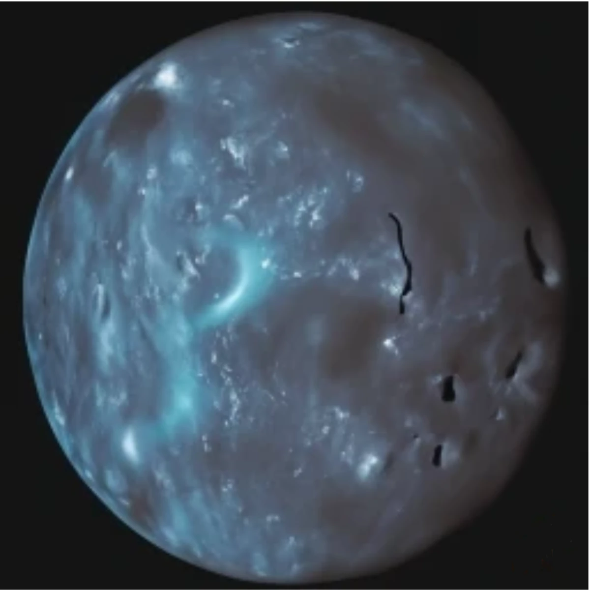 Merflopry | Floptok Wiki | Fandom