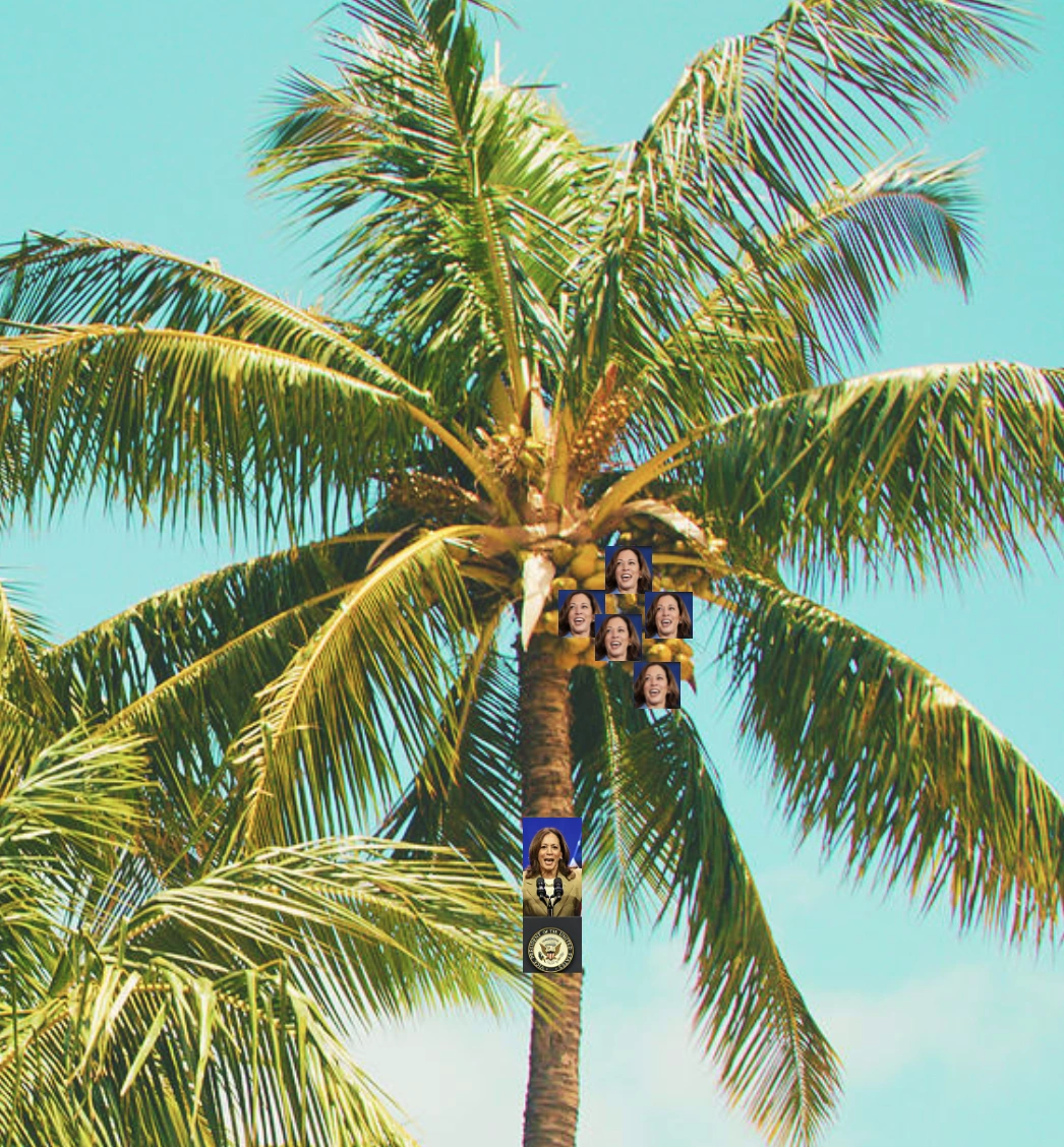 Kamalian Coconut Tree | Floptok Wiki | Fandom