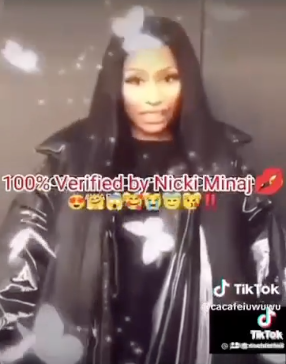 Newgen Nicki | Floptok Wiki | Fandom