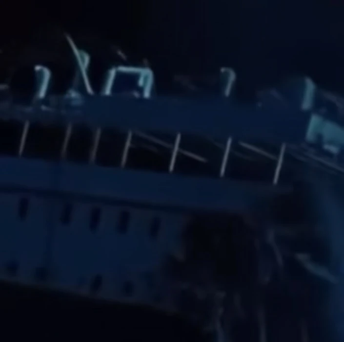 Flopanic | Floptok Wiki | Fandom