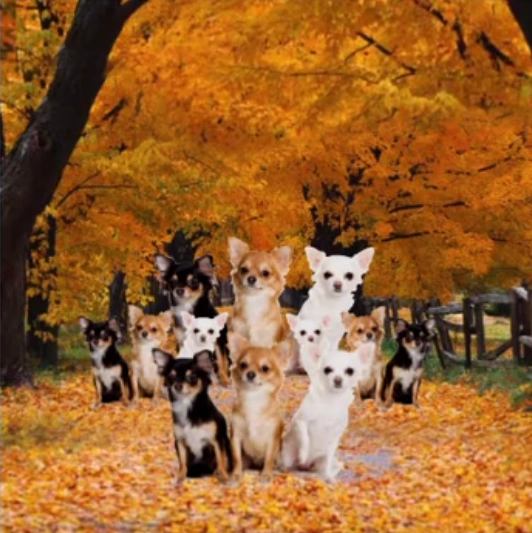 Scary Stuff | Floptok Wiki | Fandom