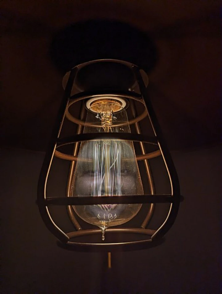 Floptropican light bulb | Floptok Wiki | Fandom