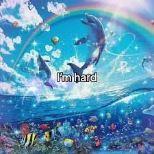 Symphony Dolphins | Floptok Wiki | Fandom