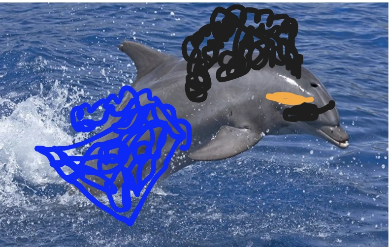 Donna Dolphin | Floptok Wiki | Fandom