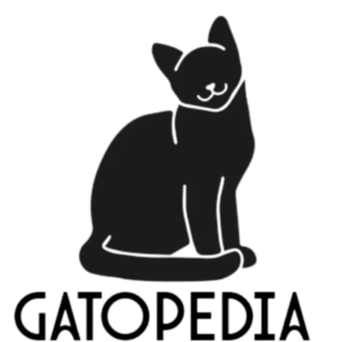 Categoría:Navegación | Wiki Florapedia (Plantas y Flores) | Fandom