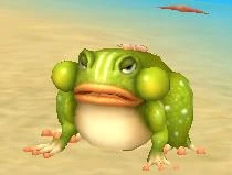 Toad | Florensia Wiki | Fandom