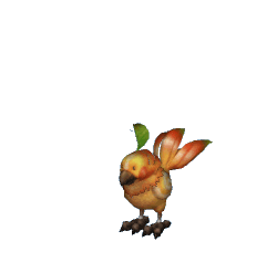 Dodo | Florensia Wiki | Fandom