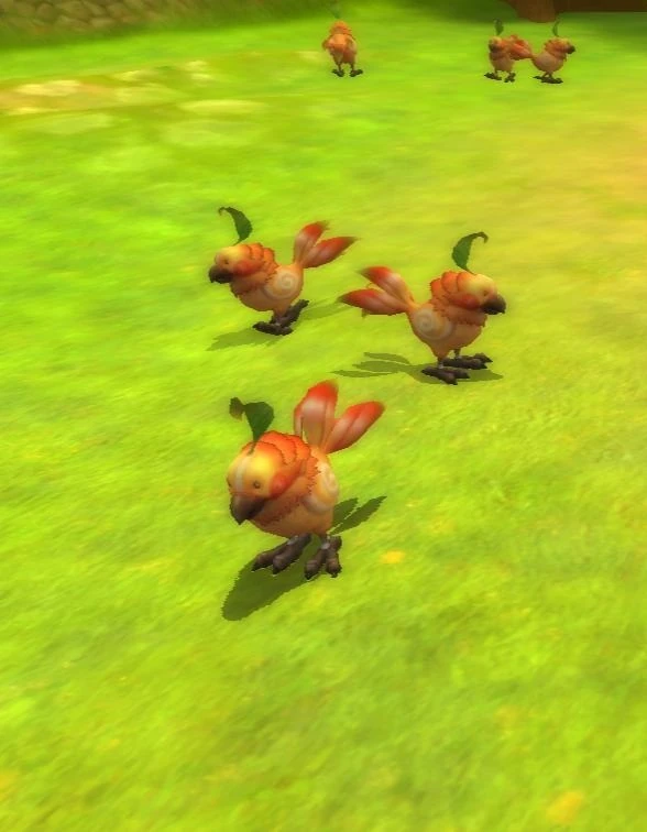 Dodo | Florensia Wiki | Fandom