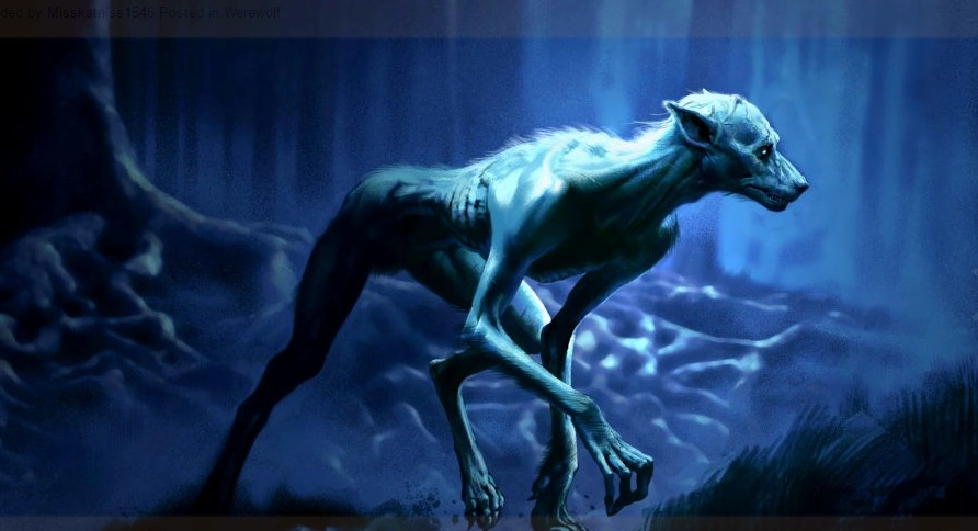 Werewolf | Florielsand School of Witchcraft and Wizardry Wikia | Fandom