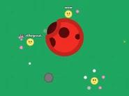 Massive Ladybug | Florr.io Wiki | Fandom